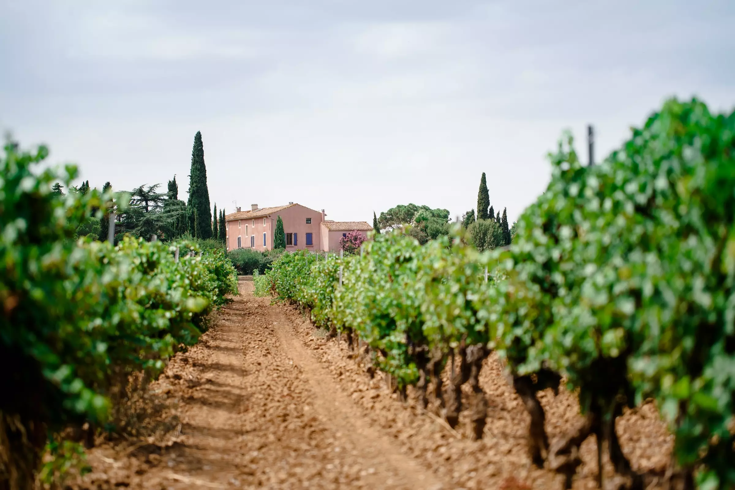 Our legacy | Bodvár | Award-winning Rosé Wines from Provence